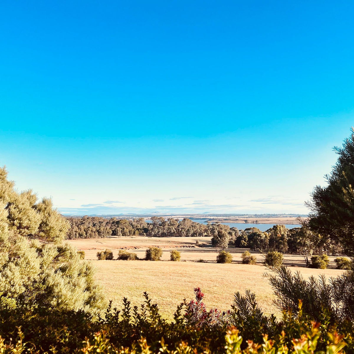 The Story Behind Panacea Estate